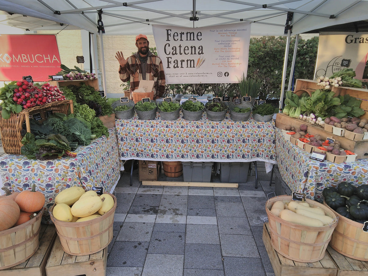 Why Buy Local Produce? – Catenafarm